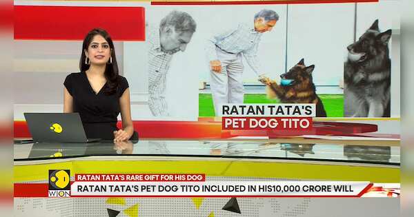 Ratan Tata's Pet Dog Tito Included in 10,000 Crore Will - Gravitas News