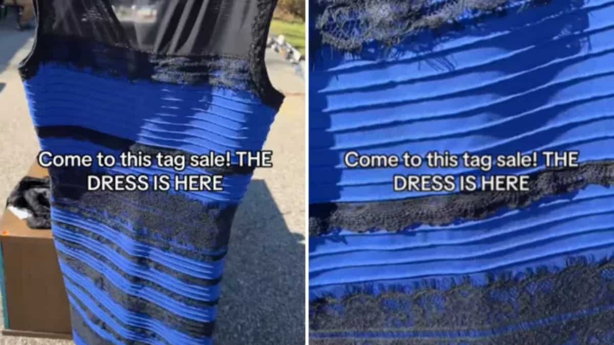 Woman discovers optical illusion dress at yard sale, goes viral on ...