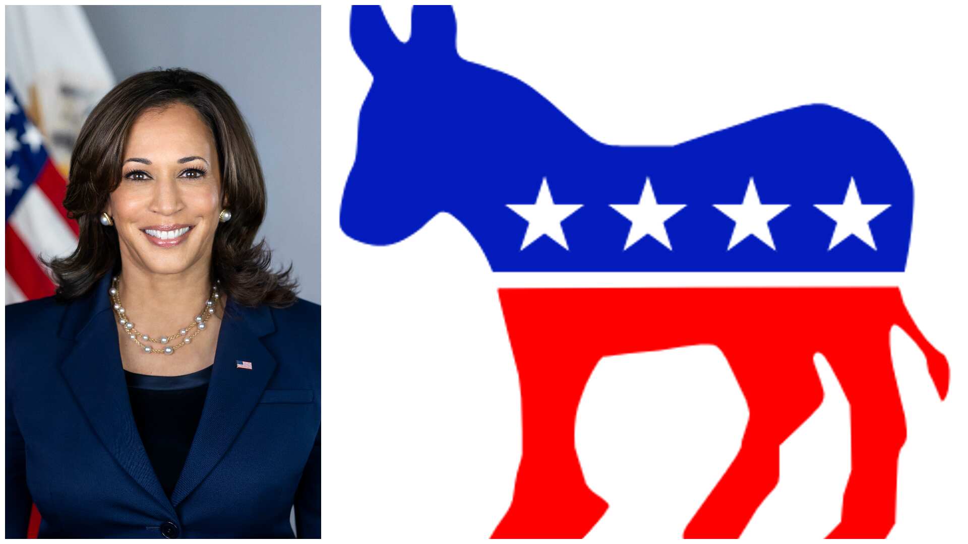 US Elections: Democratic Party of Kamala Harris - What you should know ...