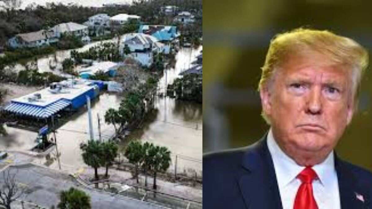 FEMA official directed aid workers to avoid houses with Trump signs ...
