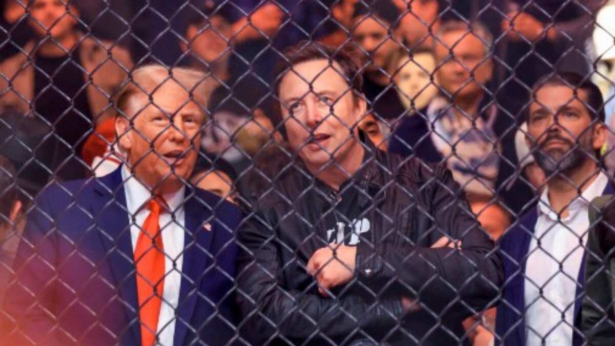 DOGE chief Musk wants to 'delete' IRS, and people agree with him ...