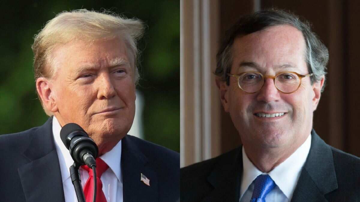 Trump 2.0: US president-elect taps billionaire Warren Stephens as US ...