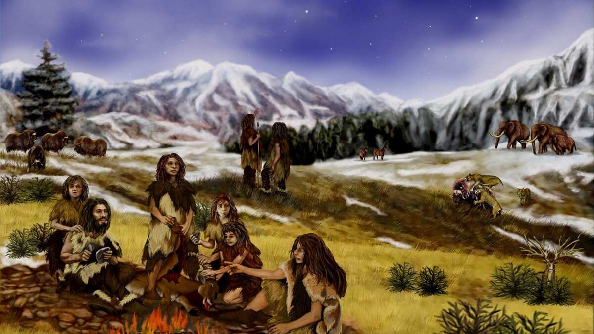Scientists discover abnormally large skull of 'lost' human species in ...