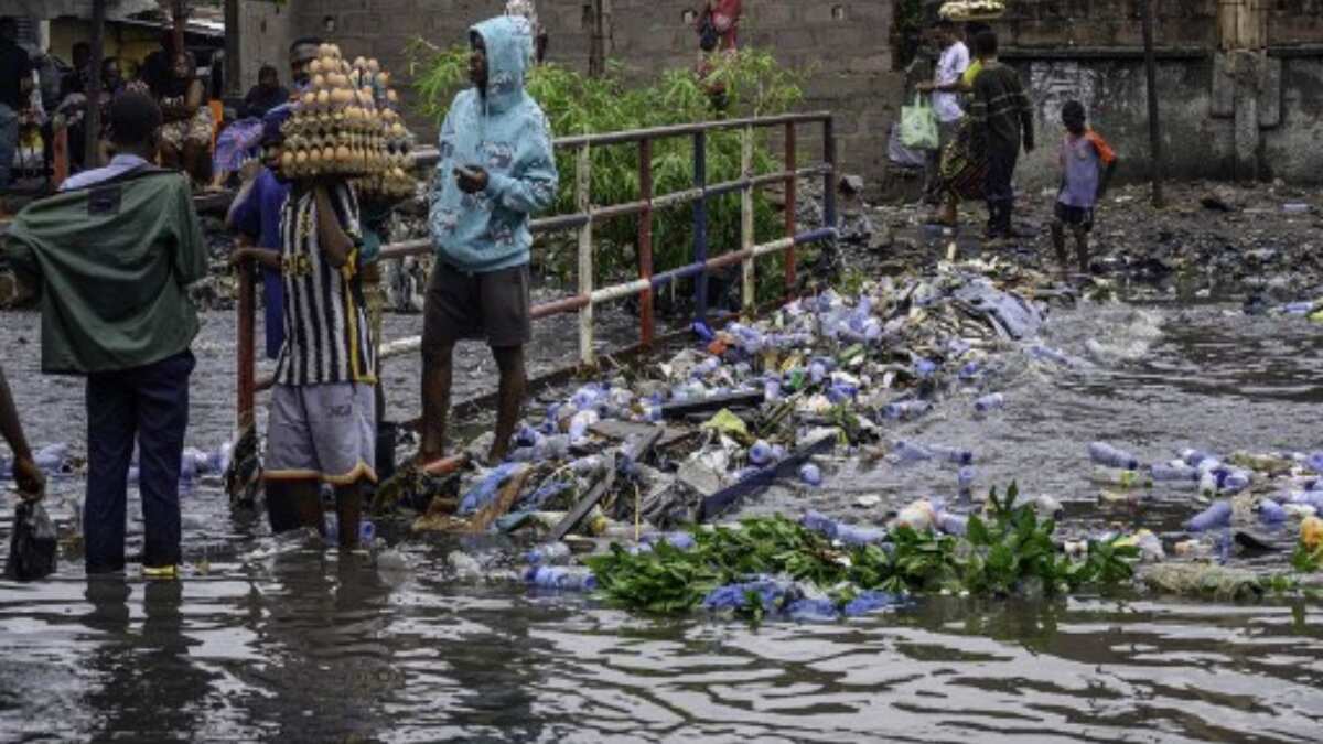 Mysterious infection kills 79 in Congo; Japan and Hong Kong increase ...