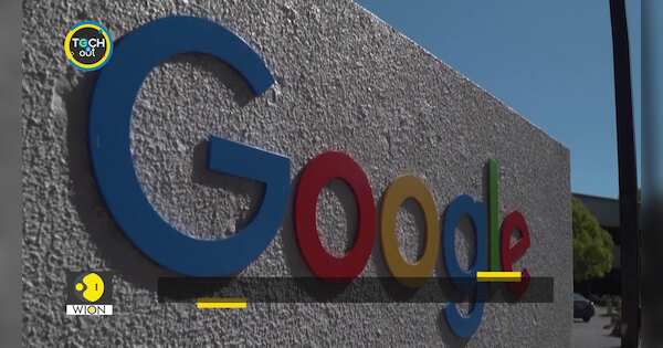 Google Top Trending Searches Of 2024 - Tech It Out News
