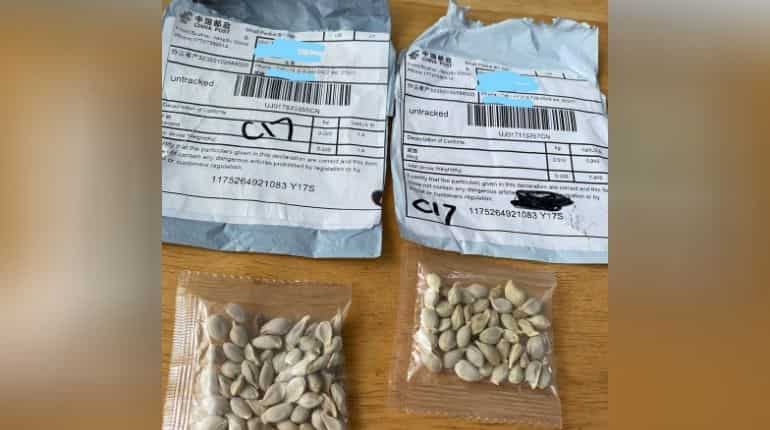 After US, Canada receives mysterious packages of seeds from China ...