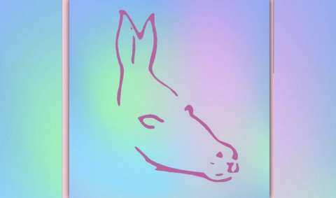 Fish, donkey, mermaid or seal? What do you see in this picture ...