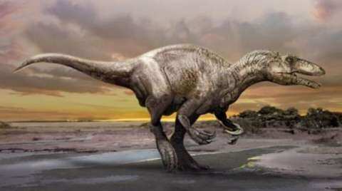 ‘Maip macrothorax’: Largest raptor dinosaur’s remains found by ...