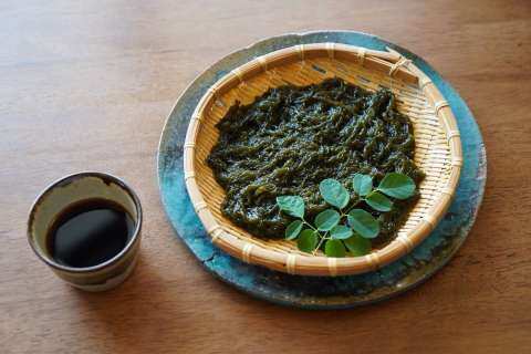 In pics: Japanese superfood weed Okinawa mozuko moving towards climate ...