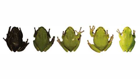 36 years after catastrophic event, Chernobyl nuclear disaster spawns ...