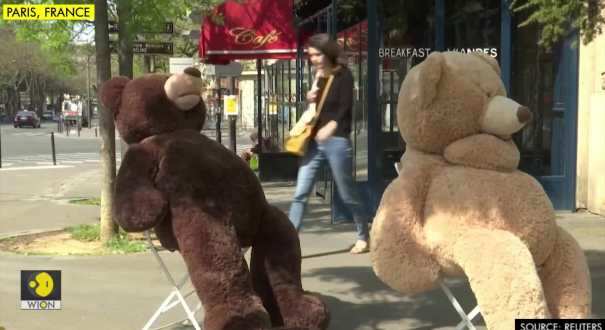 real life teddy bear News - Latest real life teddy bear News, Breaking ...