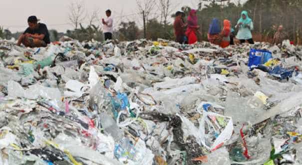 waste mafia News - Latest waste mafia News, Breaking waste mafia News ...