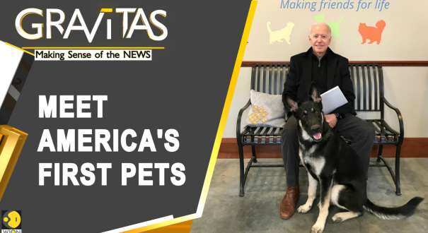 first pets News - Latest first pets News, Breaking first pets News ...