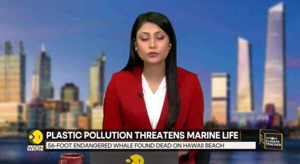 Plastic pollution News - Latest Plastic pollution News, Breaking ...