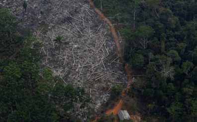 amazon burning News - Latest amazon burning News, Breaking amazon ...