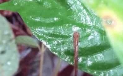 Africa News - Latest Africa News, Breaking Africa News, Africa News ...