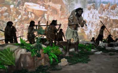 early humans News - Latest early humans News, Breaking early humans ...