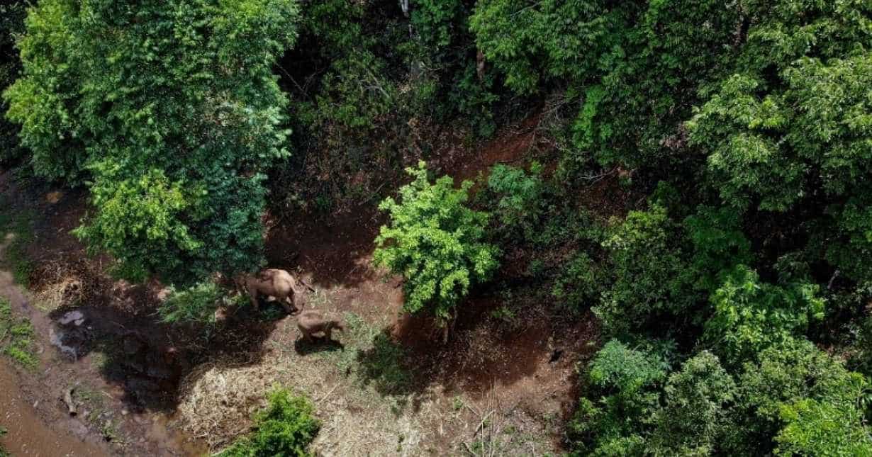 Top 10 environment-friendly countries in the world - World News