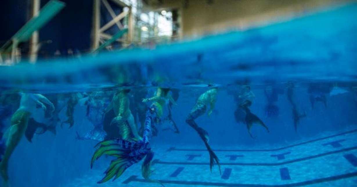 In Pics Hundreds Of Mermaids Mingle At Us Convention World News
