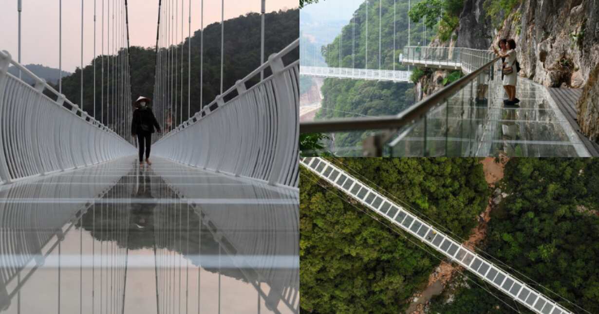 Don't look down! Marvelous glass-bottomed bridge opens in Vietnam ...