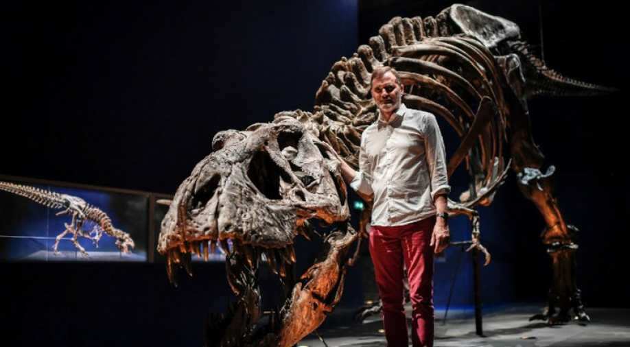 First 'real look' at T-Rex skeleton in Paris museum - World News