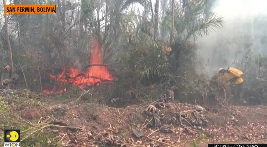 Bolivians flee as fires engulf forests - World News