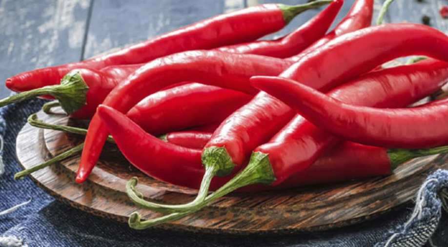 Pakistan: Chilli cultivation in Sindh takes a hit due to climate change ...