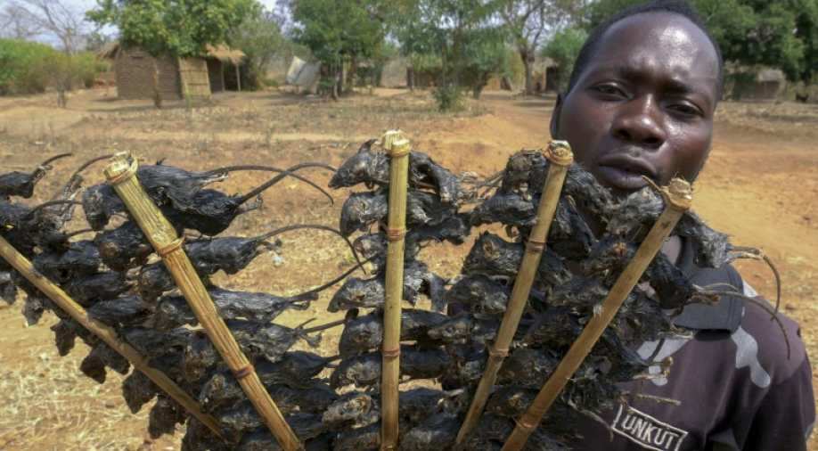 Roasted mice, a popular delicacy, turn saviour in coronavirus-hit rural ...