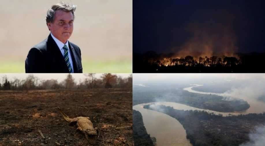 Watch: Timelapse video of deforestation in the Amazon rainforest ...