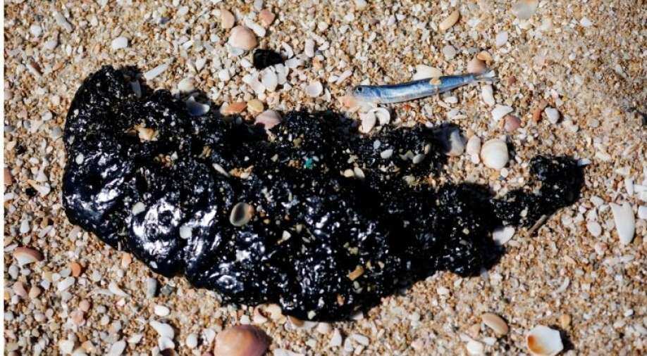 Oil spill on Israel's Mediterranean shore causes 'disaster' - World News