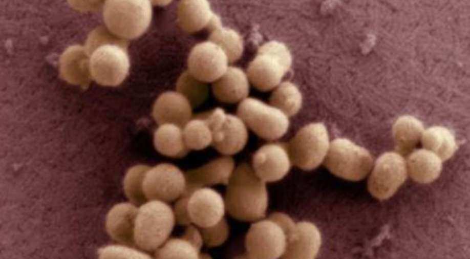 Scientists develop synthetic cell that grows and divides uniformly ...