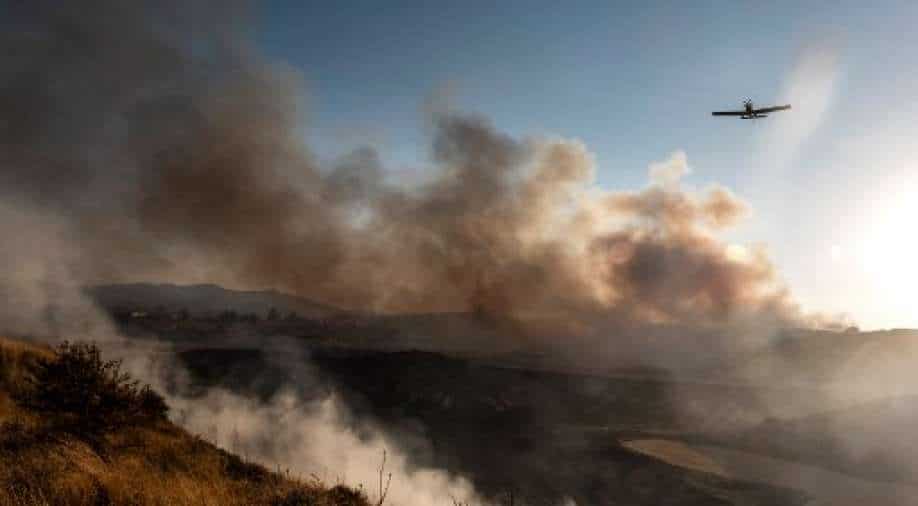 In Pics | Deadly forest fire in Cyprus finally brought under control ...