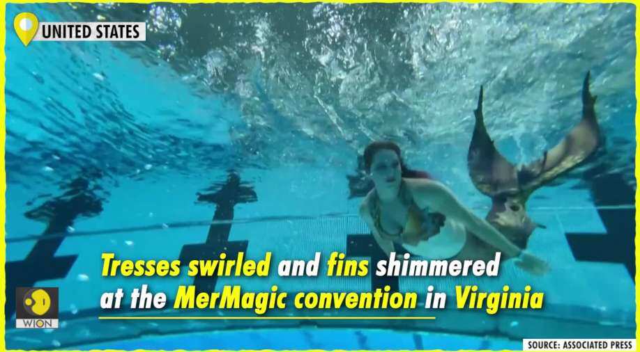 Part Of Our World Mermaids Mingle At Us Convention Edge News