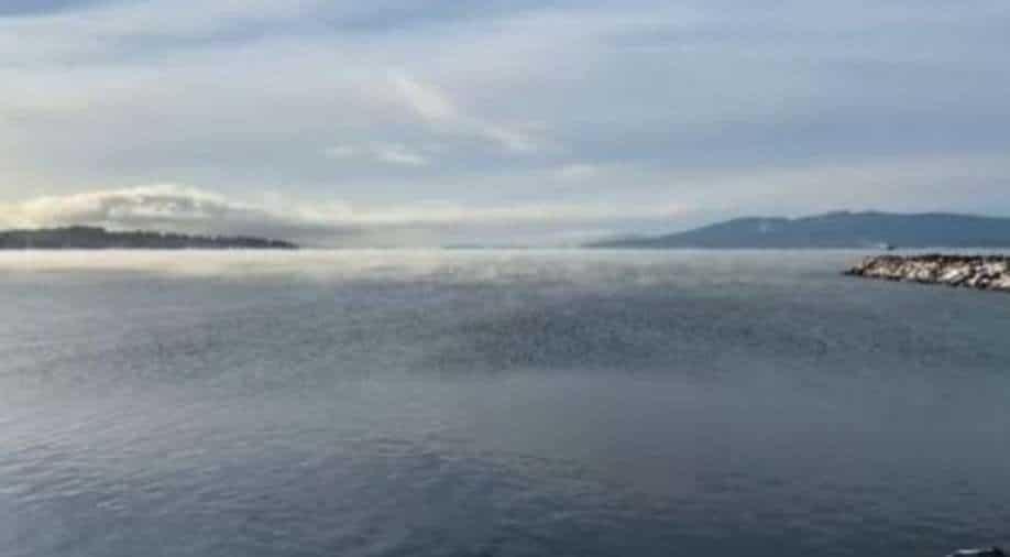 Watch: Is water on fire? Witness rare sea smoke emanated in US - World News