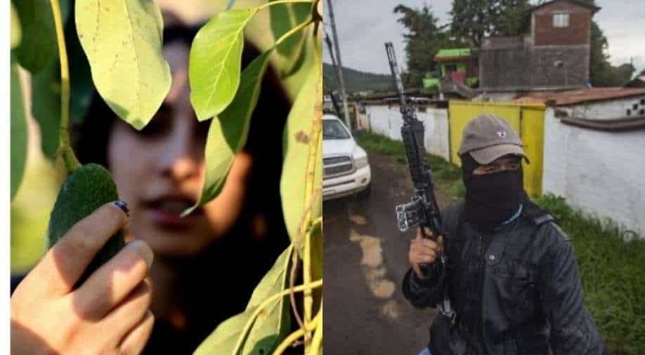 Cartels & turf wars: Why the US suspended avocado imports from Mexico ...