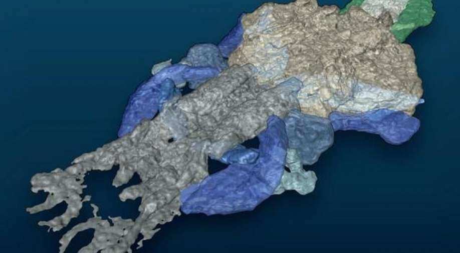 This 390 million-year-old fish-like creature is revealed to be earliest ...