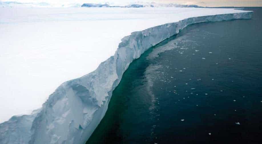 In pics - Marine life in newly explored Antarctic river deep beneath ...