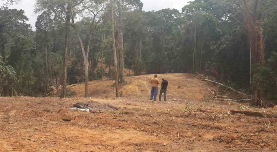 Impact of decades of deforestation in Nigeria - World News