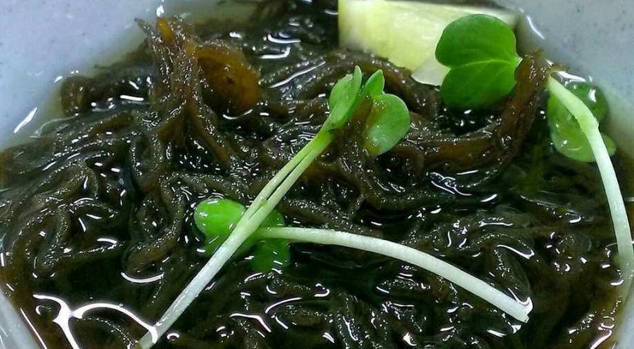 In pics: Japanese superfood weed Okinawa mozuko moving towards climate ...