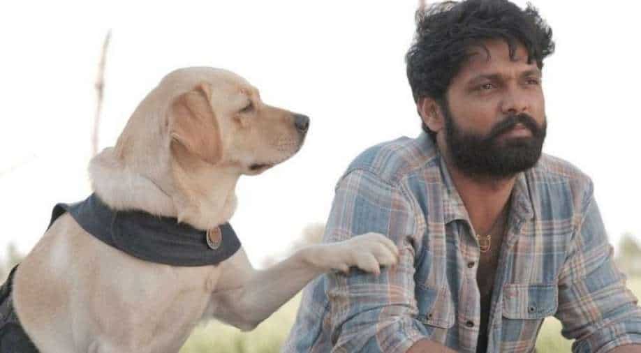 '777 Charlie' twitter review: Netizens hail the emotional saga, calls ...