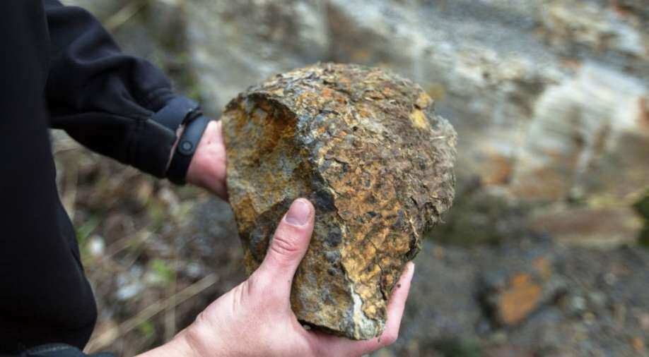 In Pics: 290-million-year-old ‘rare’ forest unearthed in Brazil ...