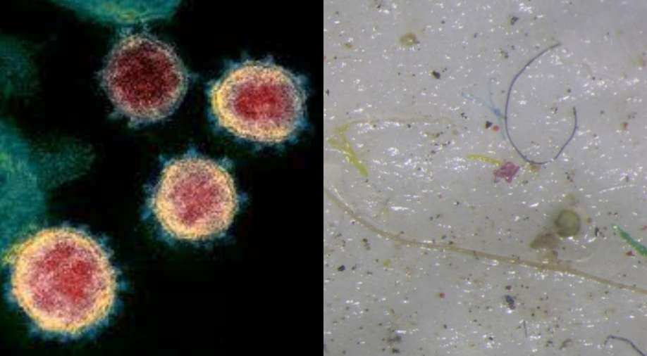 Viruses can stay alive in fresh water for three days by attaching to ...