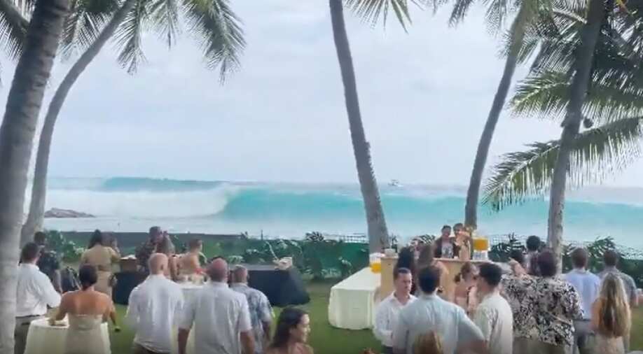 Watch: Towering waves crash a tropical Hawaii wedding - World News