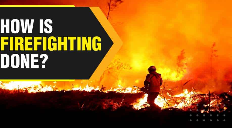 Dousing wildfires: How firefighting works - World News