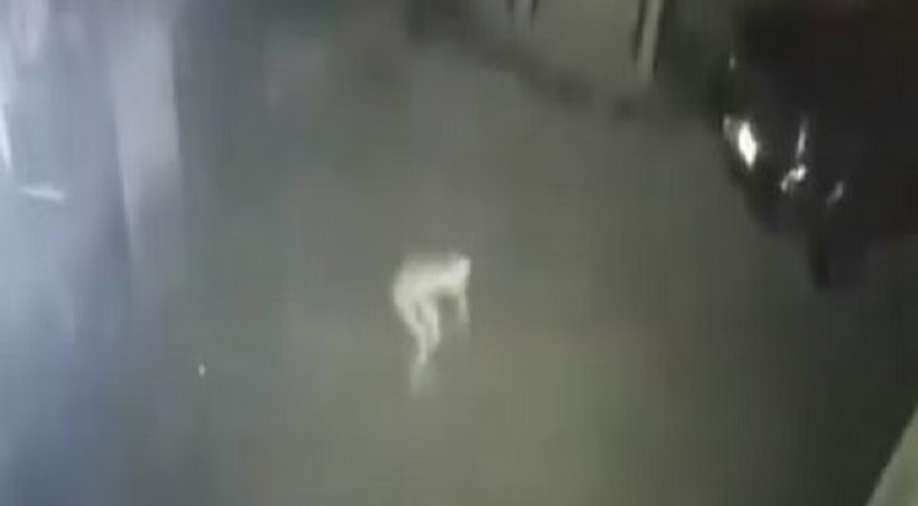 WATCH: Mysterious figure caught on camera in Kentucky, sparks alien ...