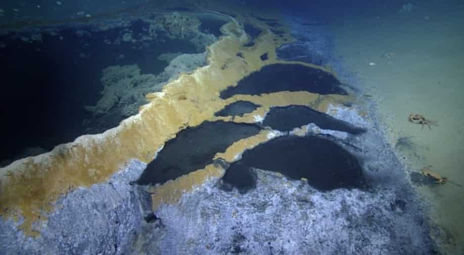 Newly discovered rare deep-sea brine pools can help look for ‘alien ...