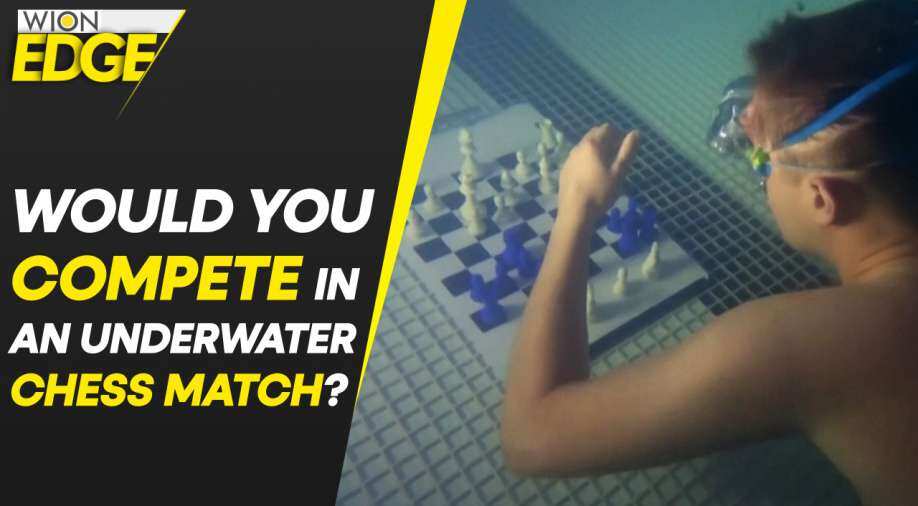 Dive Chess World Championships: The ultimate battle of body & mind ...