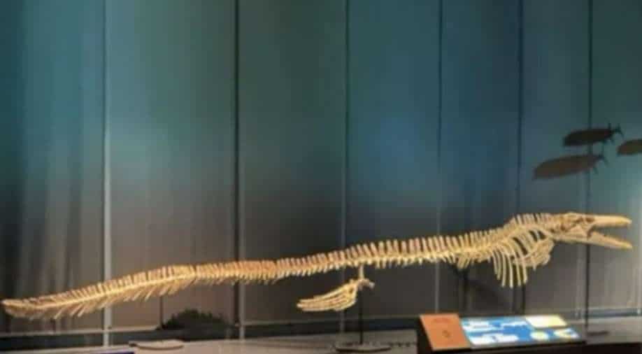 Scientists find fossil of giant sea monster Mosasaur next to its victim ...