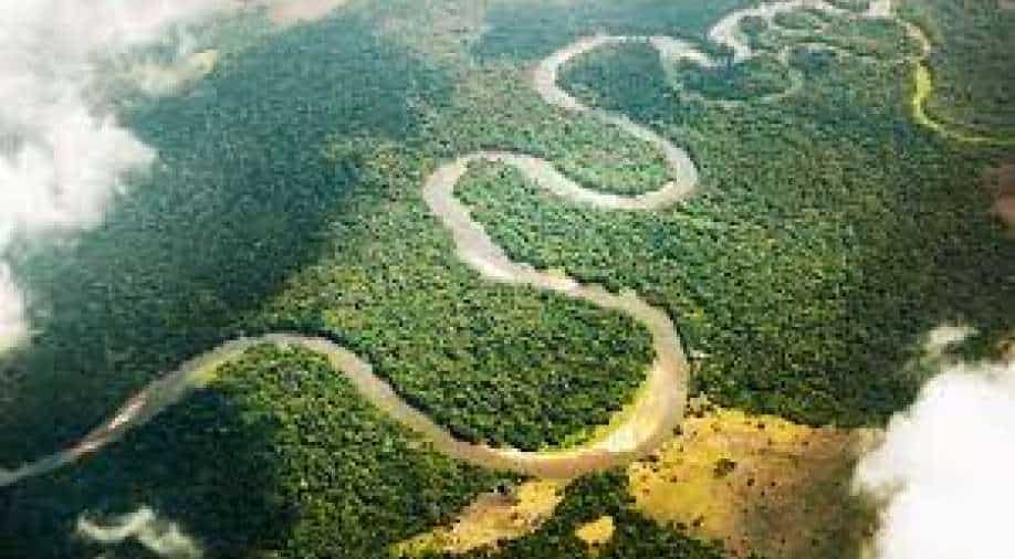 Congo Basin: Deforestation threatens world's second largest tropical ...