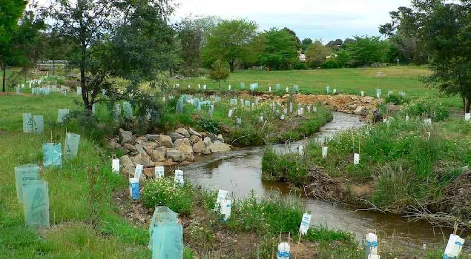 WION Climate Tracker | Farm in Australia becomes site of re-vegetation ... WION Climate Tracker | Farm in Australia becomes site of re-vegetation ...